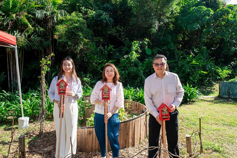 香港興業國際愉景灣DBee Oasis設城市綠洲花塔 促進生態多樣性 - 生活 POWER-UP